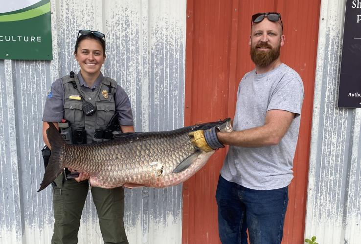 Fisherman In Osage County Beats State Carp Record From 1999 – News ...
